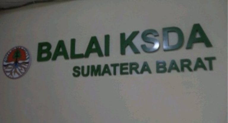 Disayangkan Buka Izin Pendakian Gunung Marapi, Ini Penjelasan BKSDA ...